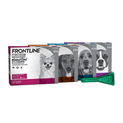 FRONTLINE PLUS สำหรับหมา | สินค้าของเรา